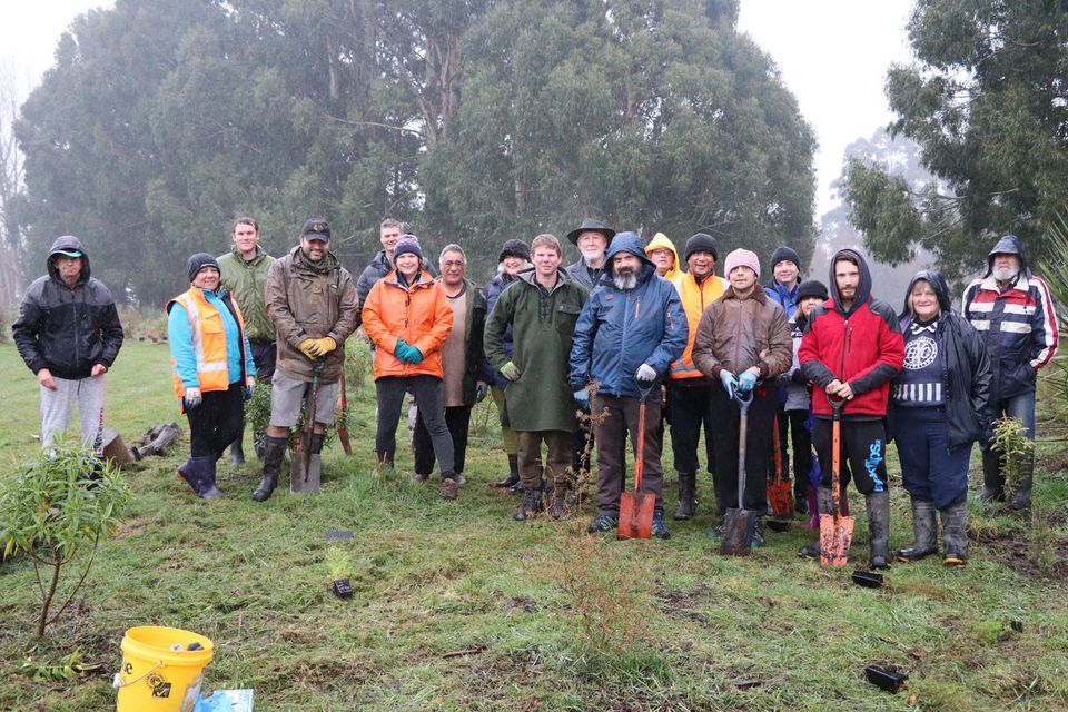 Matariki Family Planting, 303 Radcliffe Rd, Belfast, Christchurch 8051 ...