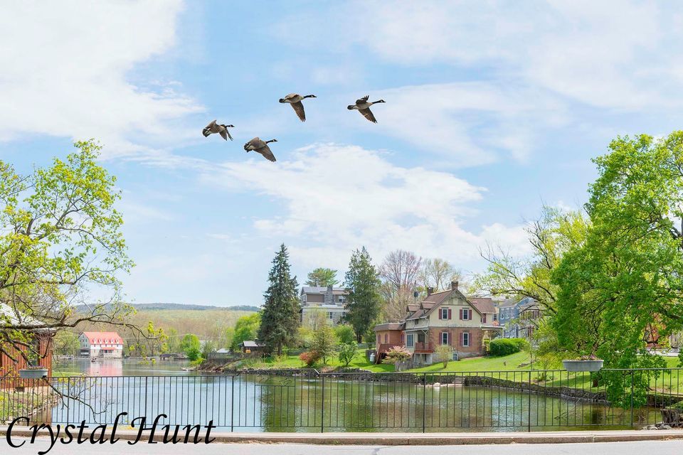 2022 Annual Christmas in the Park hosted by the Civic Association ...