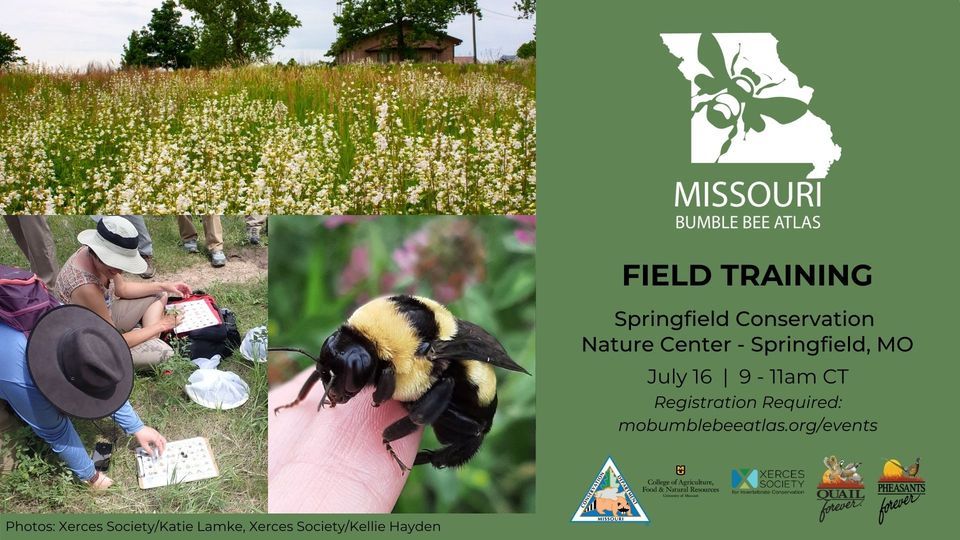 Missouri Bumble Bee Atlas - Field Training at Springfield Conservation ...