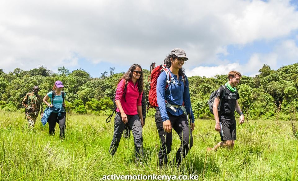 Eburru Forest Hike, Nairobi, Kenya, 18 March 2023