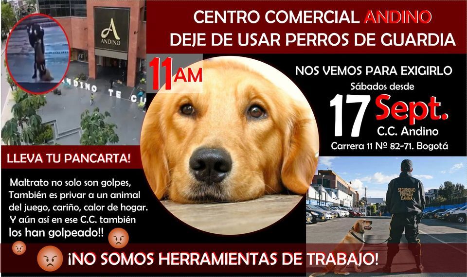 CENTRO COMERCIAL ANDINO DEJE DE USAR PERROS DE GUARDIA, Centro ...