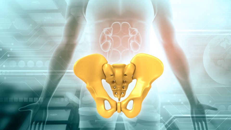 Pelvic Floor Stability | a 3-week pop-up class, 18300 Dixie Highway ...