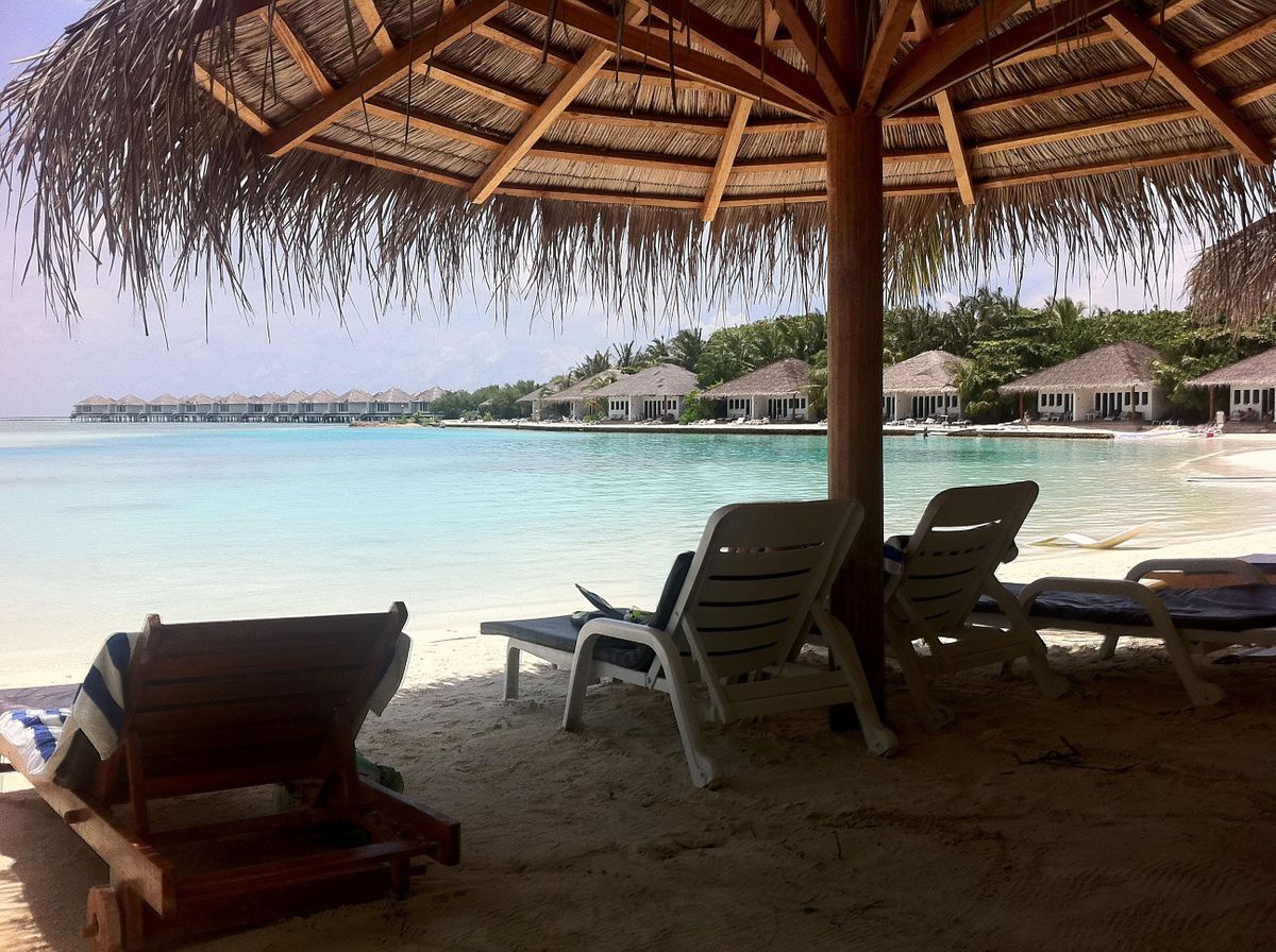 SurfDent MALDIVES Seminars at Cinnamon Dhonveli Resort (Pasta Point ...