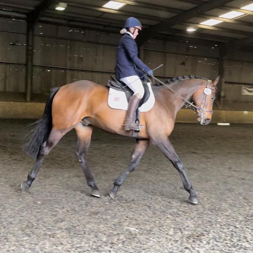 Unaffiliated Dressage with Veteran Horse Class, Cottingham Equestrian Centre, Kingston Upon Hull ...