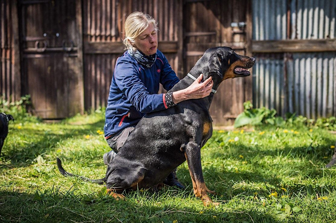 McTimoney College of Chiropractic Animal Open Day - Thurs. 19 Feb 2026 ...