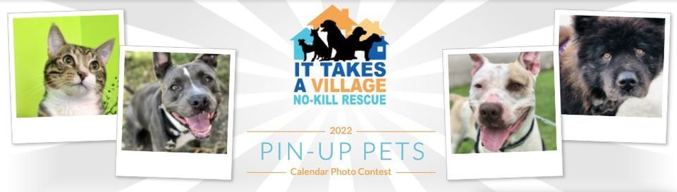2022 Pin-Up Pets Calendar Photo Contest, It Takes a Village No-Kill ...