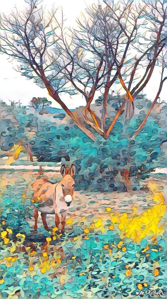 Quarterly Writing with The Herd, EquiSol Shamanic Healing Sanctuary ...