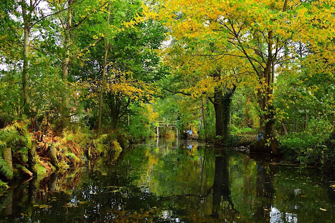 Spreewald Canoe Tour: Discover the UNESCO biosphere reserve on water ...