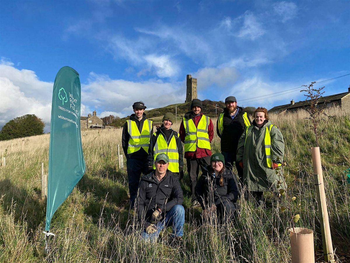 Community Tree Planting Day- 4th February 2026, The Long Causeway ...