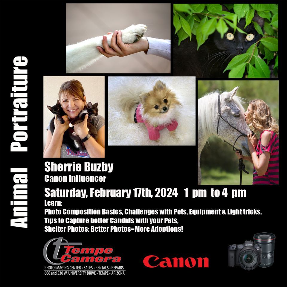 Animal Portraiture w/ Canon Influencer Sherrie Buzby , Tempe Camera, 17 ...