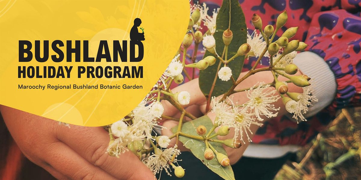 Holiday Program: Summer Wands & Walking Sticks, Maroochy Regional ...