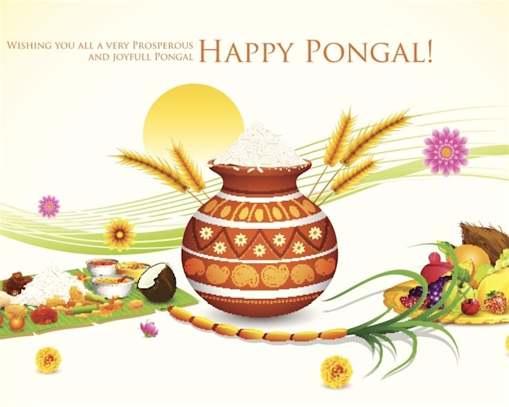 Celebrate Pongal / Makar Sankranti with us!, Cloves Indian Cuisine, New ...