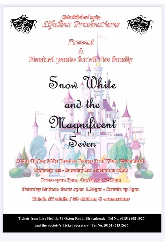 Snow White and The Magnificent Seven Panto, The Little Theatre, Birkenhead, 1 December to 3 December