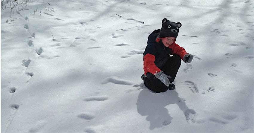 Nature in Winter Walk: A to Z Family Edition, High Point State Park and ...