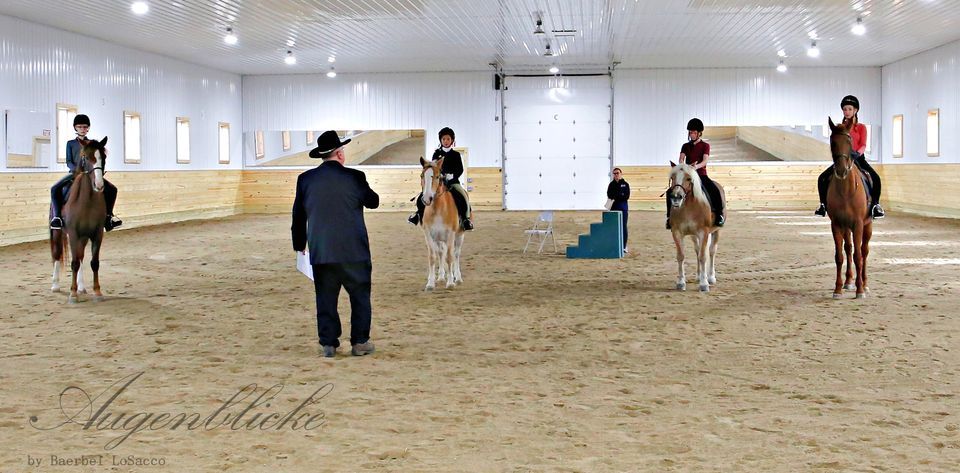 SDS Show Series 2023, Specially Designed Stables LLC, Saco, 30 April 2023