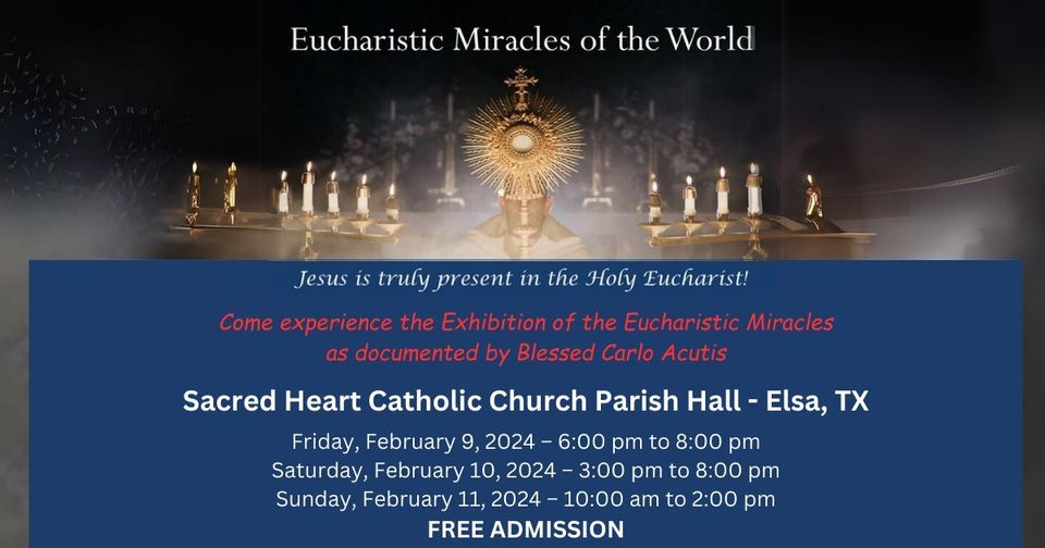 Exhibition of the Eucharistic Miracles as documented by Blessed Carlo ...