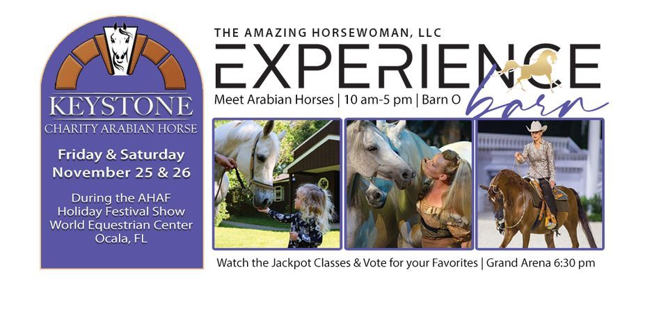 Amazing Horse Woman Experience Barn, World Equestrian Center - Ocala, 25 November 2022