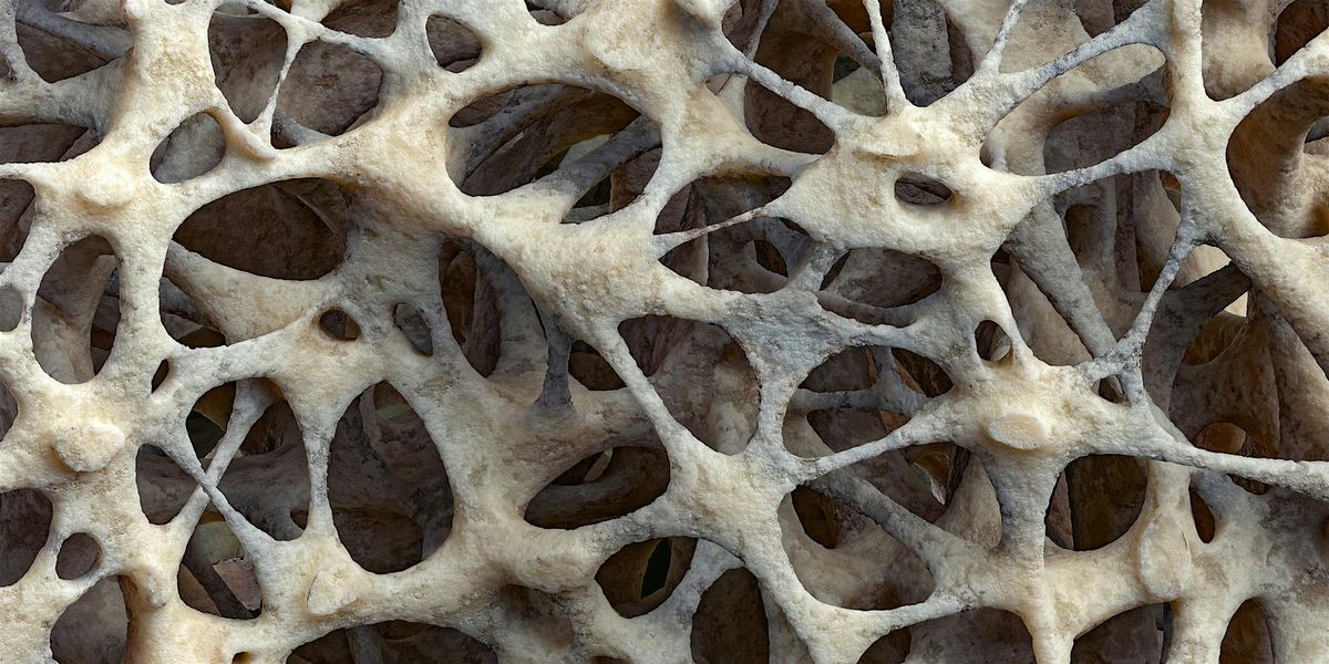 Saturday Series: Dancer’s Skeleton: Building Strength from the Inside ...