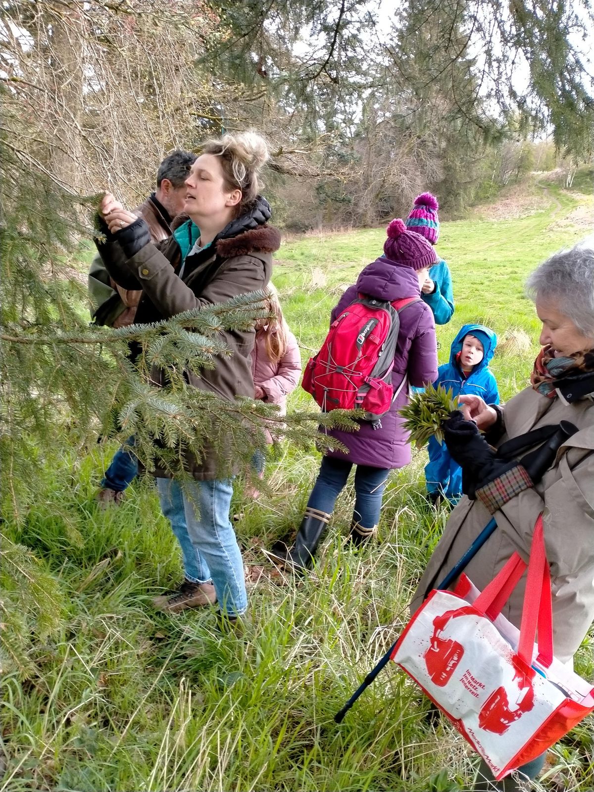 Autumn Wild Food Walk Springburn Park, Springburn Park, Glasgow, 4 ...