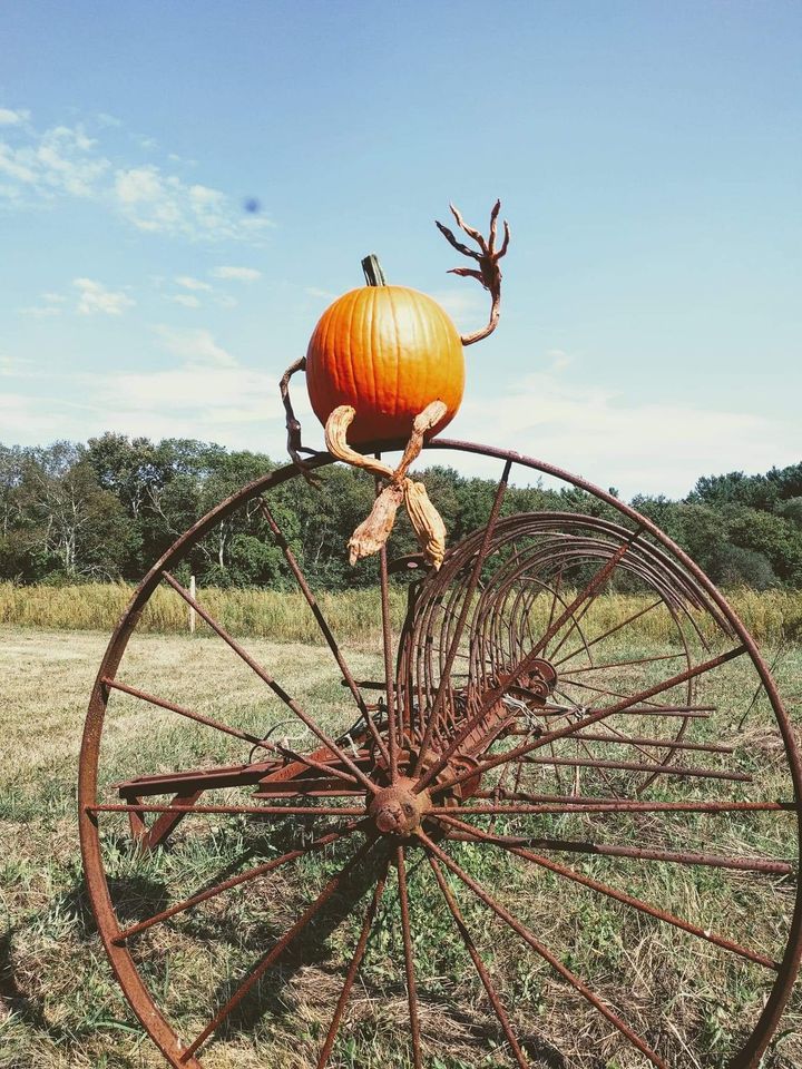 Medway Community Farms Fall Fest, Medway Community Farm, 18 September 2022