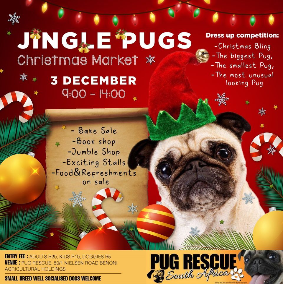 Jingle Pugs Christmas Market, Pug Rescue South Africa, Benoni, 3 ...