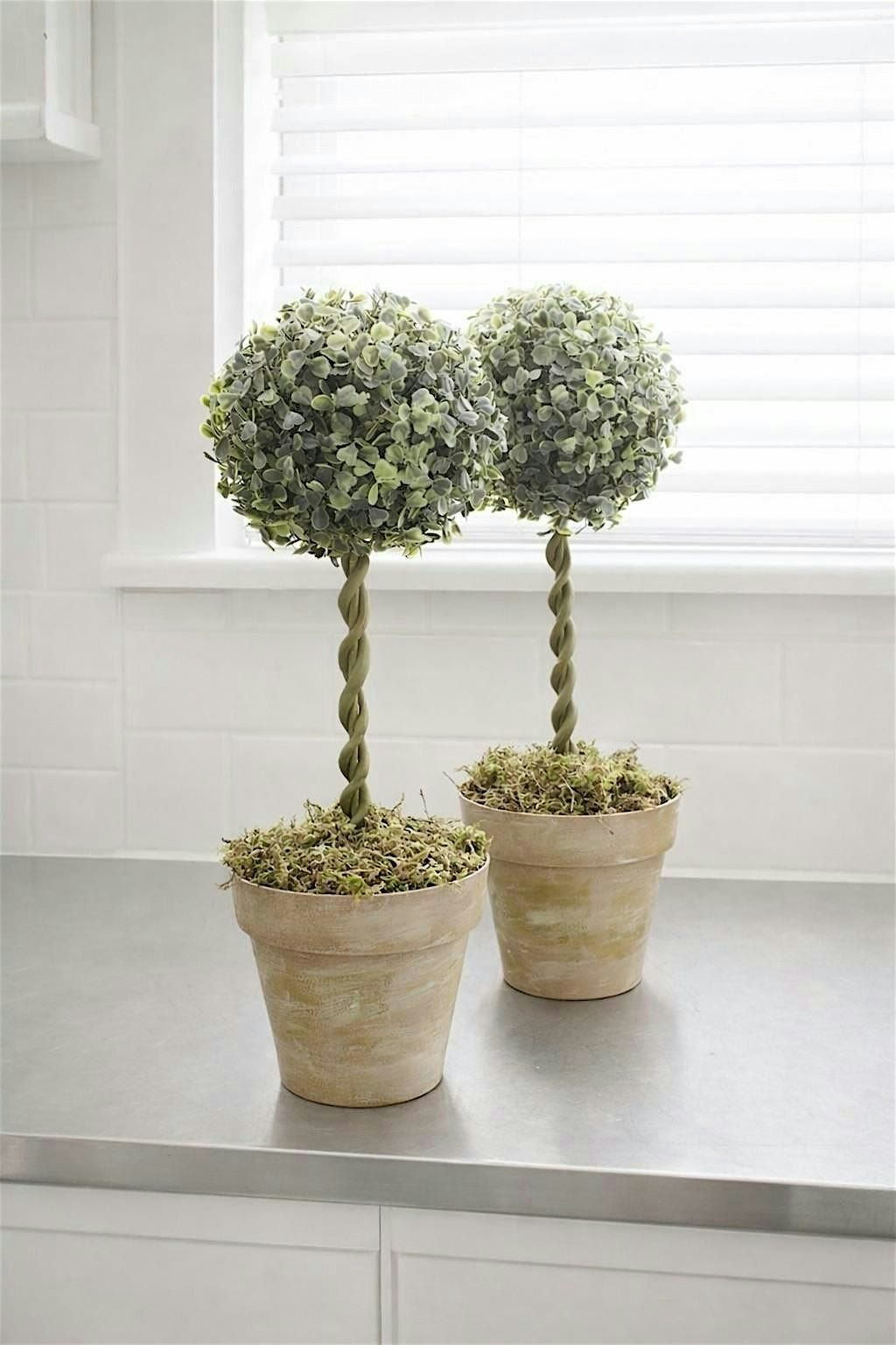 Make a Beautiful Topiary Tree DIY with Holly!, 9471 S Clare Ave, 22 ...