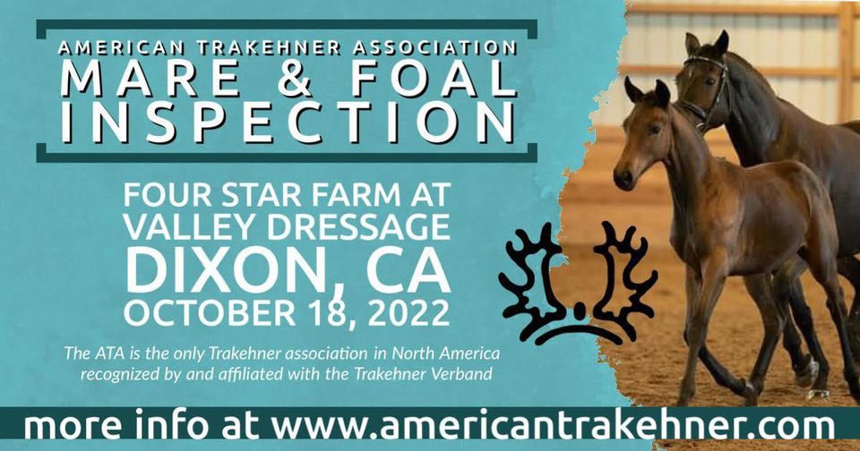 American Trakehner Association 2022 Inspections, Valley Dressage and ...