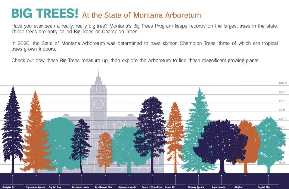 Champion Trees Tour @ the State of Montana Arboretum, University of ...