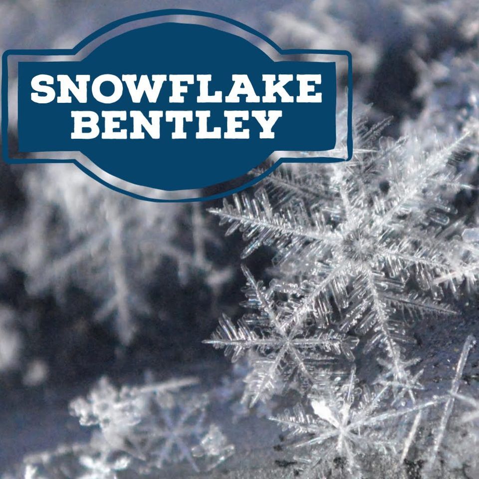 Snowflake Bentley and the Science of the Snow Crystal, Mary Jo Wegner ...