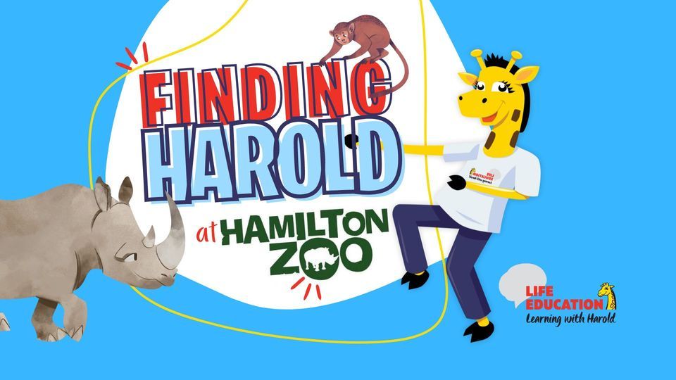 Finding Harold at the Hamilton Zoo!, Hamilton Zoo, 6 October 2022